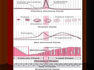 Normal menstruation | PPT