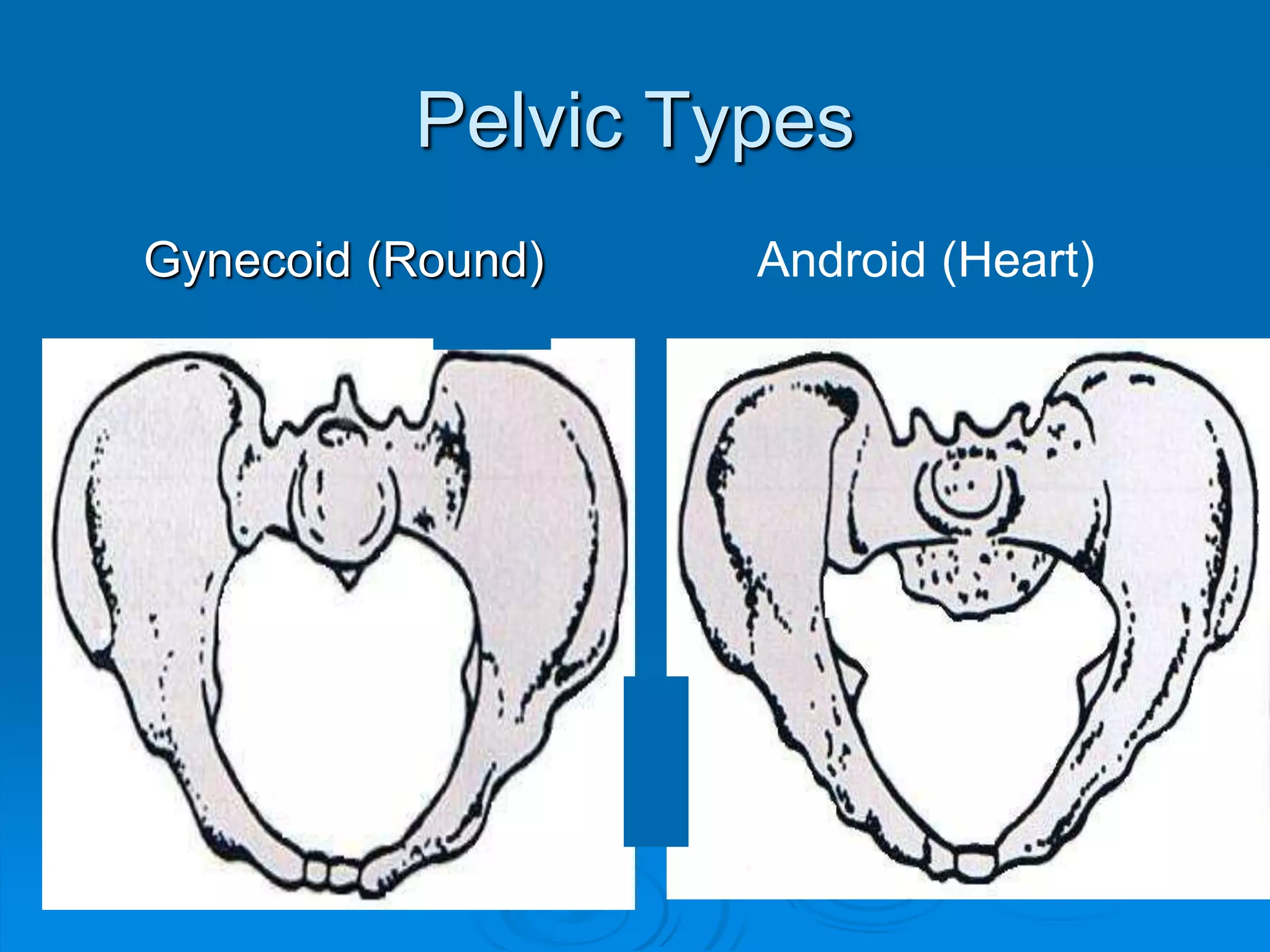Normal-Obstetrics.ppt