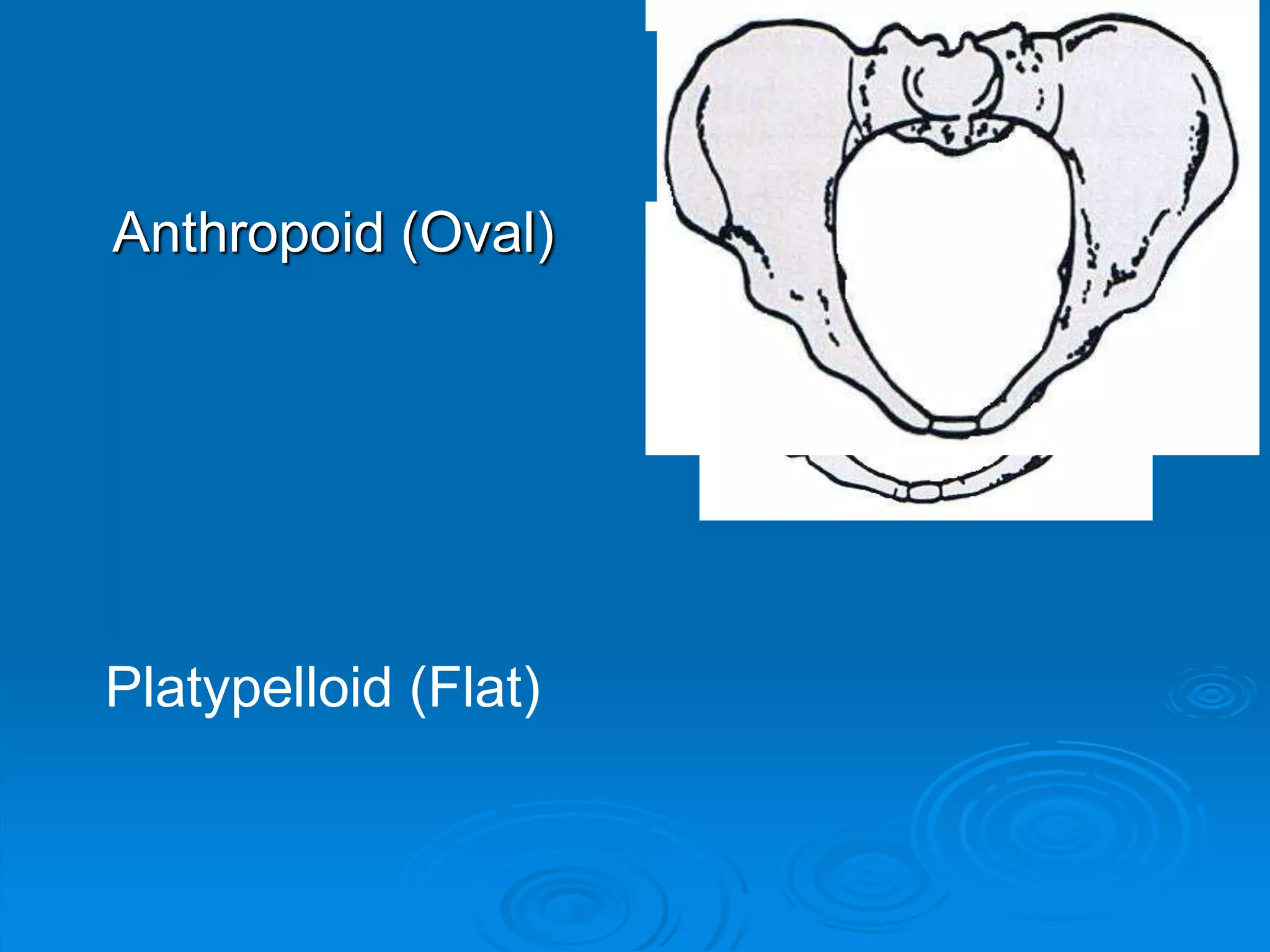 Normal-Obstetrics.ppt