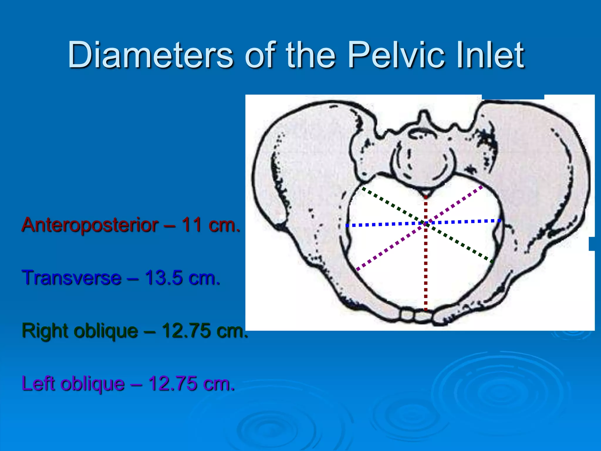 Normal-Obstetrics.ppt