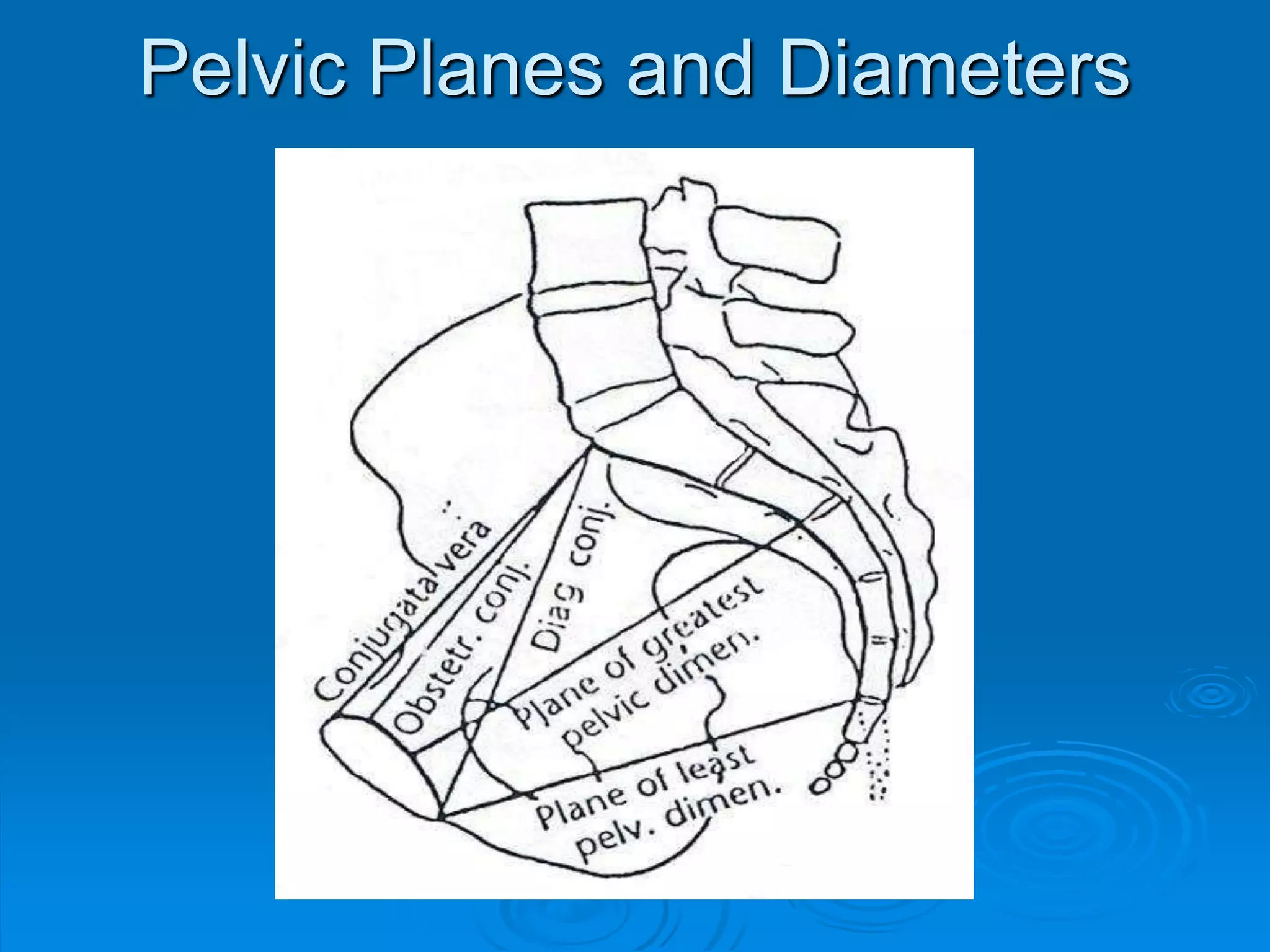 Normal-Obstetrics.ppt