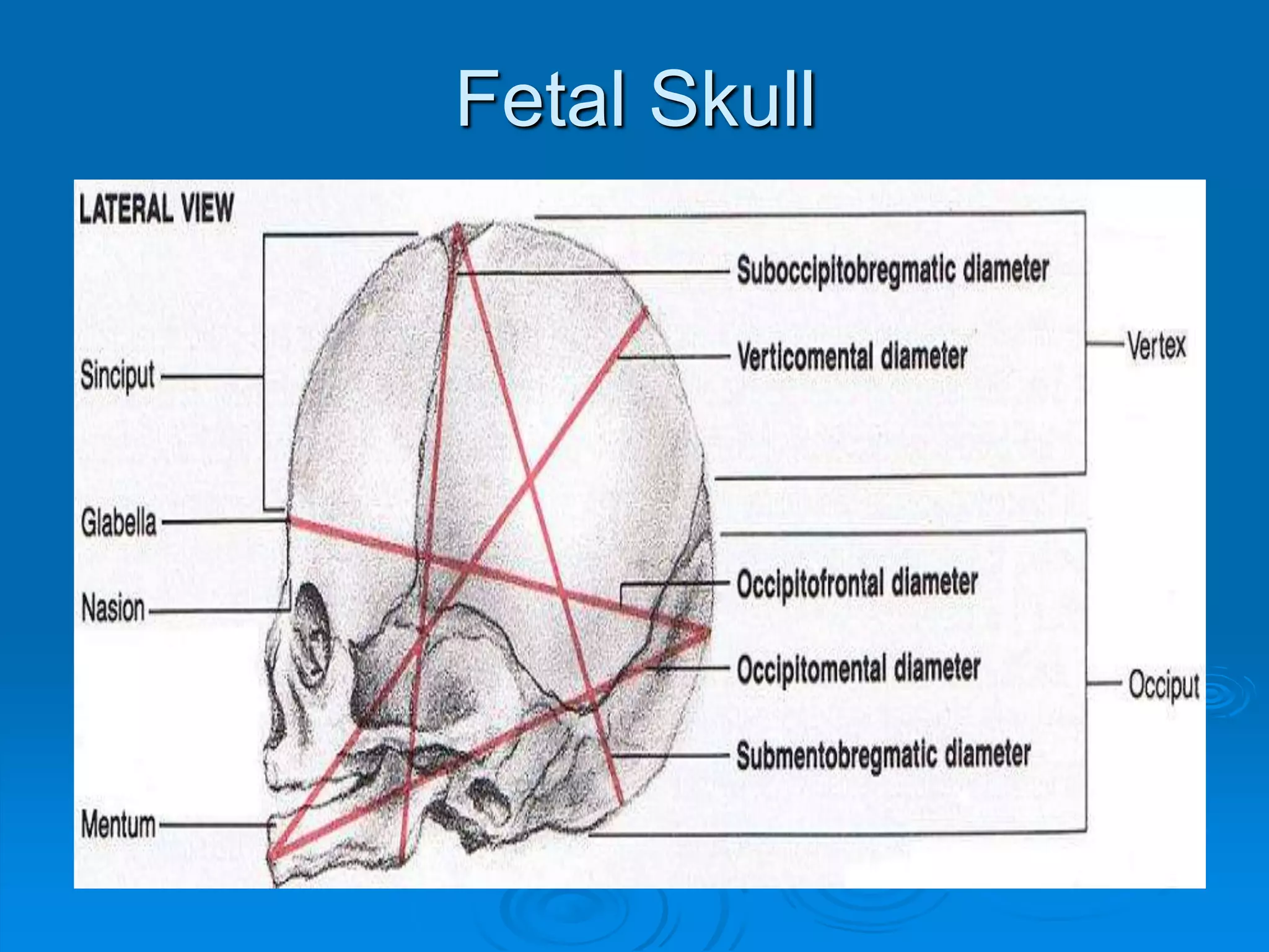 Normal-Obstetrics.ppt