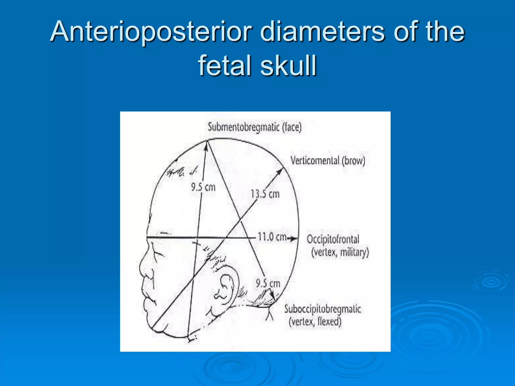 Normal-Obstetrics.ppt