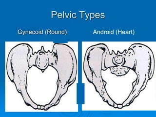 Normal-Obstetrics.ppt
