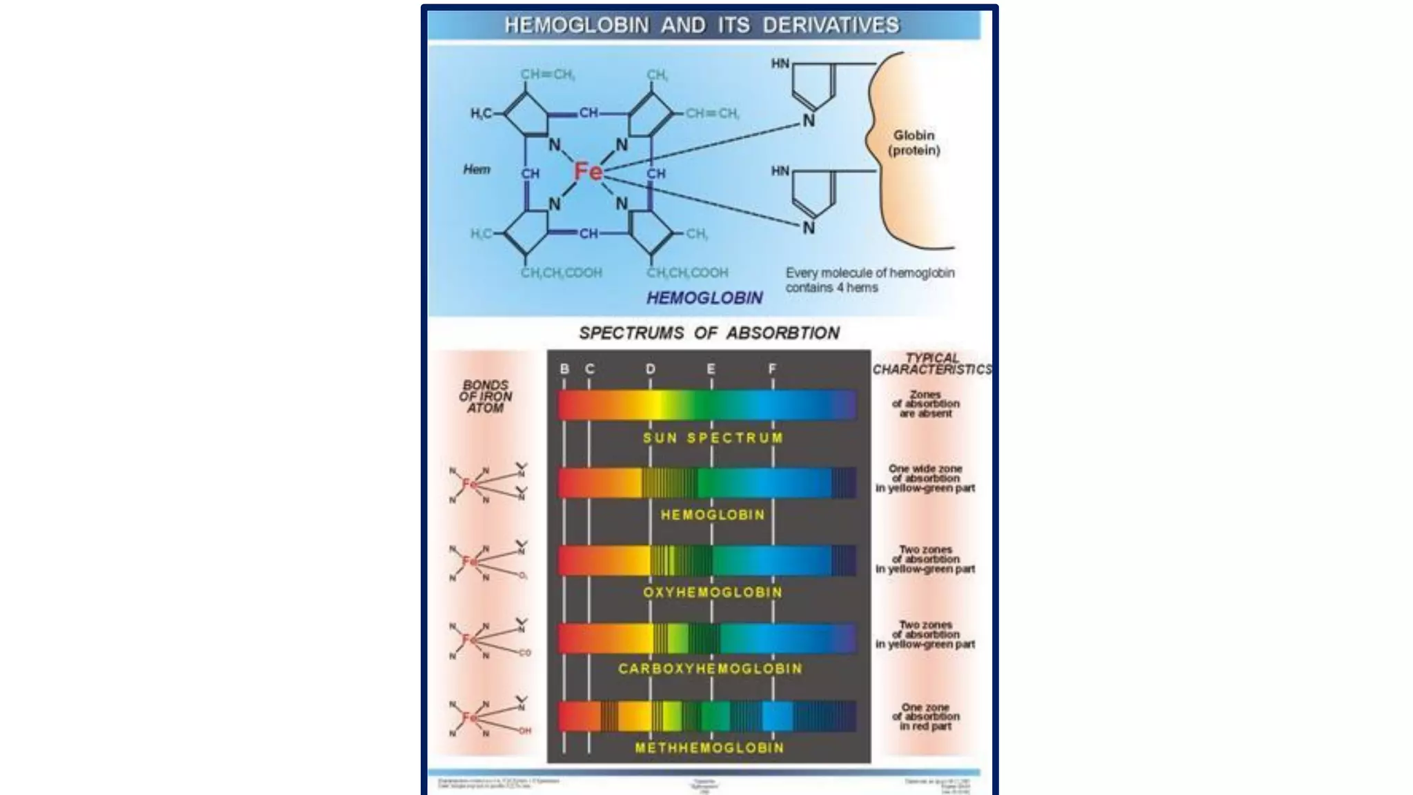 Normal & abnormal hemoglobin derivatives | PDF
