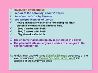 Normal abnormal postpartum | PPT
