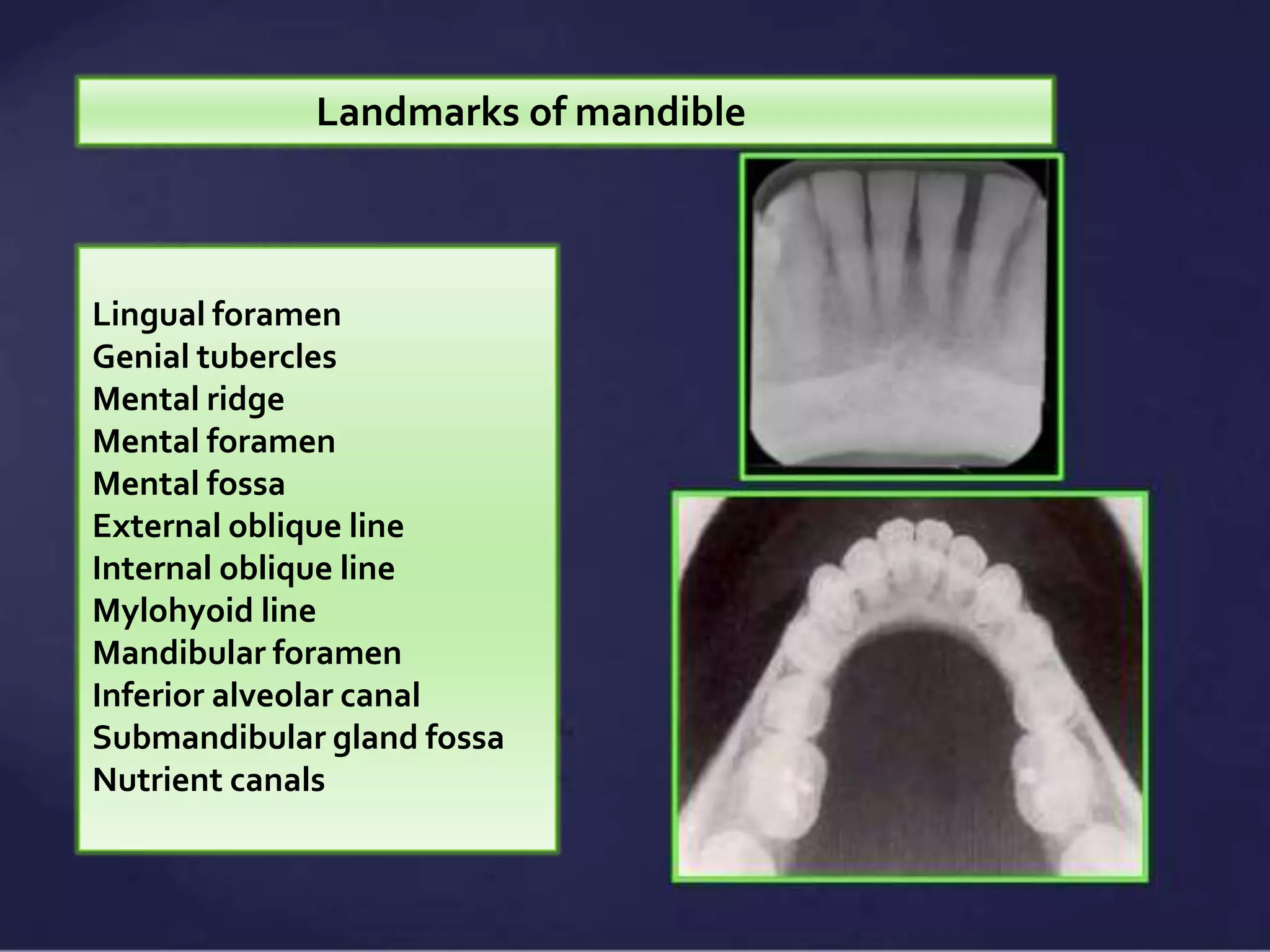 Normal Radiographic Anatomical Landmarks | PPTX