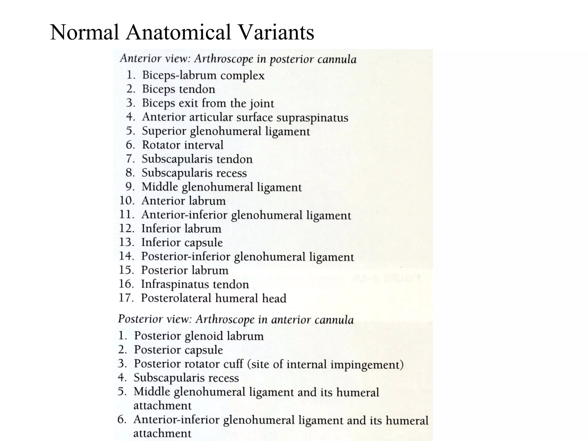 Normal anatomical variants | PPT