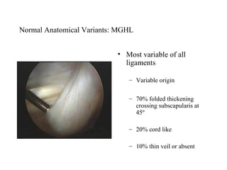 Normal anatomical variants | PPT