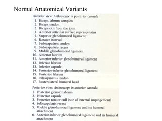 Normal anatomical variants | PPT