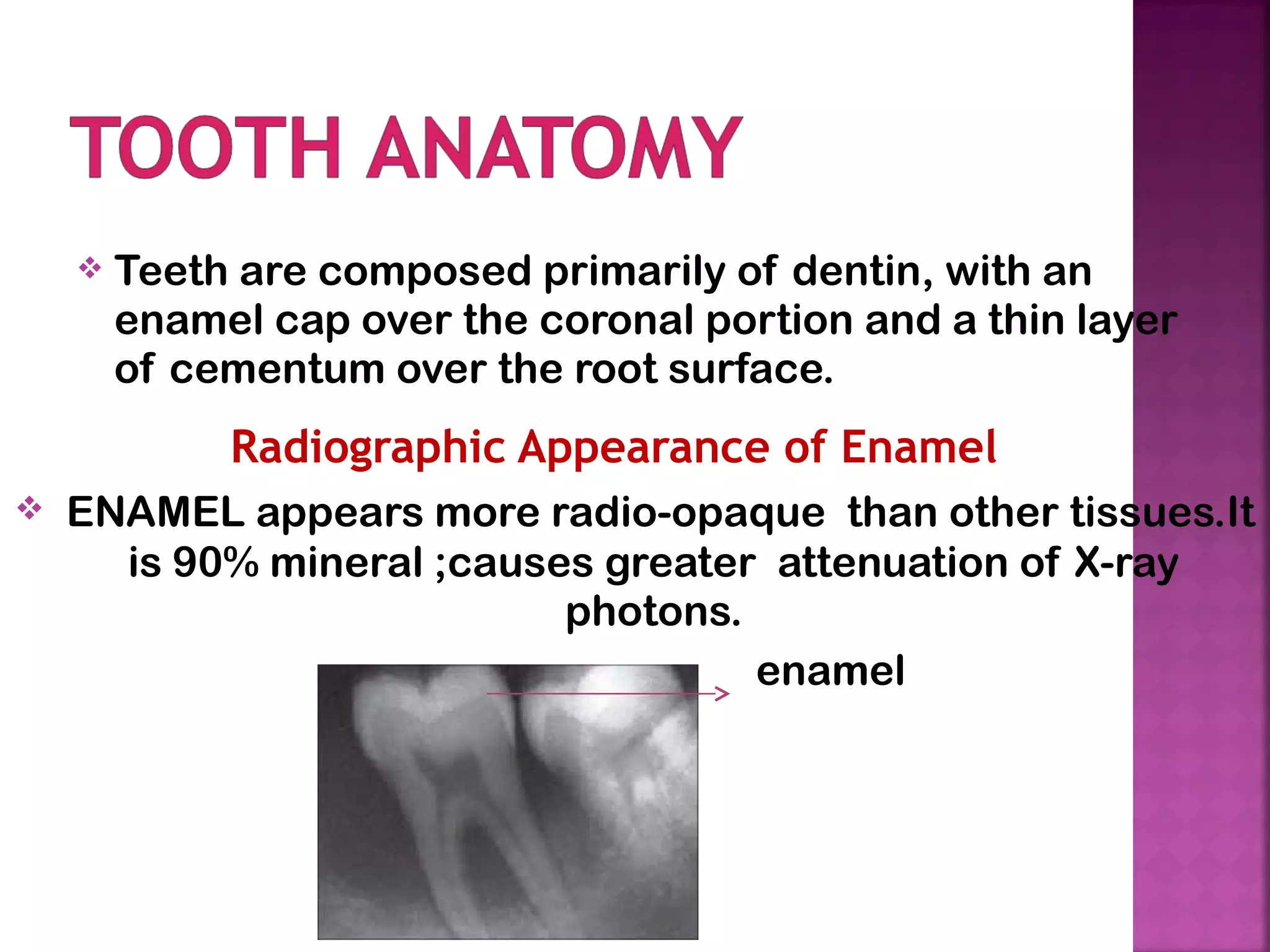 NORMAL ANATOMIC LANDMARKS ; PRICHARDS CRITERIA ; NORMAL INTERDENTAL ...
