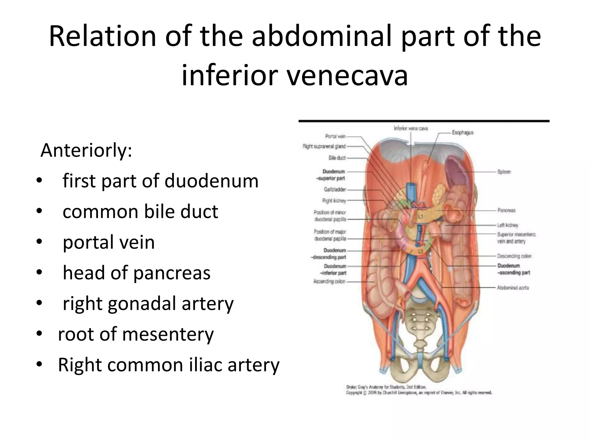 Normal anatomy and congenital anomalies of vena cavae | PPTX