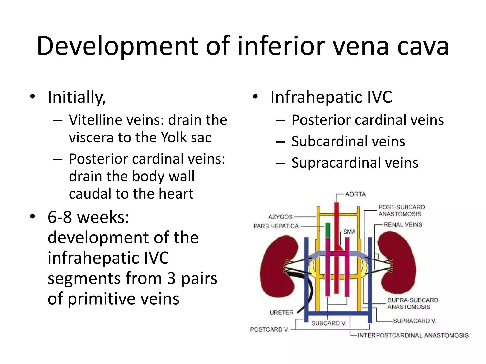Normal anatomy and congenital anomalies of vena cavae | PPTX
