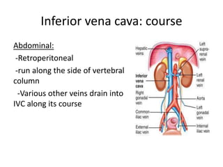 Normal anatomy and congenital anomalies of vena cavae | PPTX