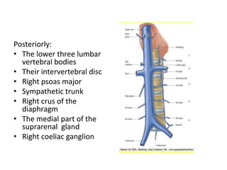 Normal anatomy and congenital anomalies of vena cavae | PPTX