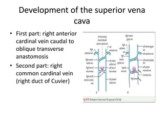 Normal anatomy and congenital anomalies of vena cavae | PPTX