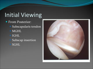 Normal anatomy final | PPT