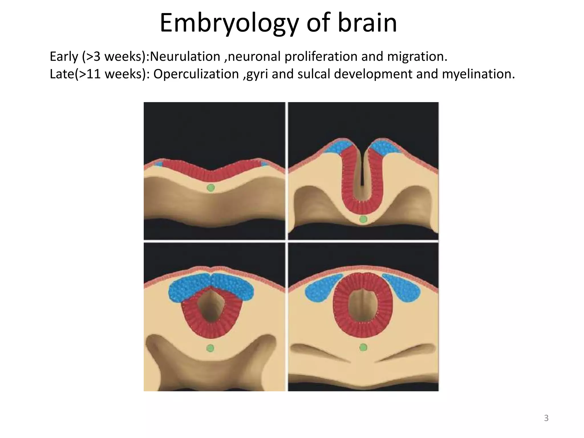 Normal anatomy of brain on CT and MRI | PPTX