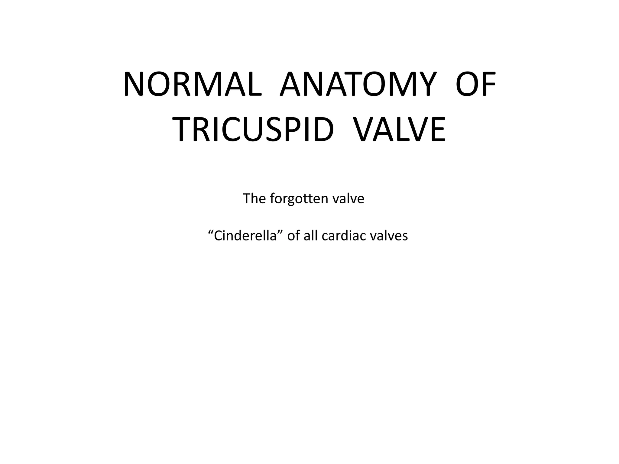 Normal anatomy of tricuspid valve | PPTX
