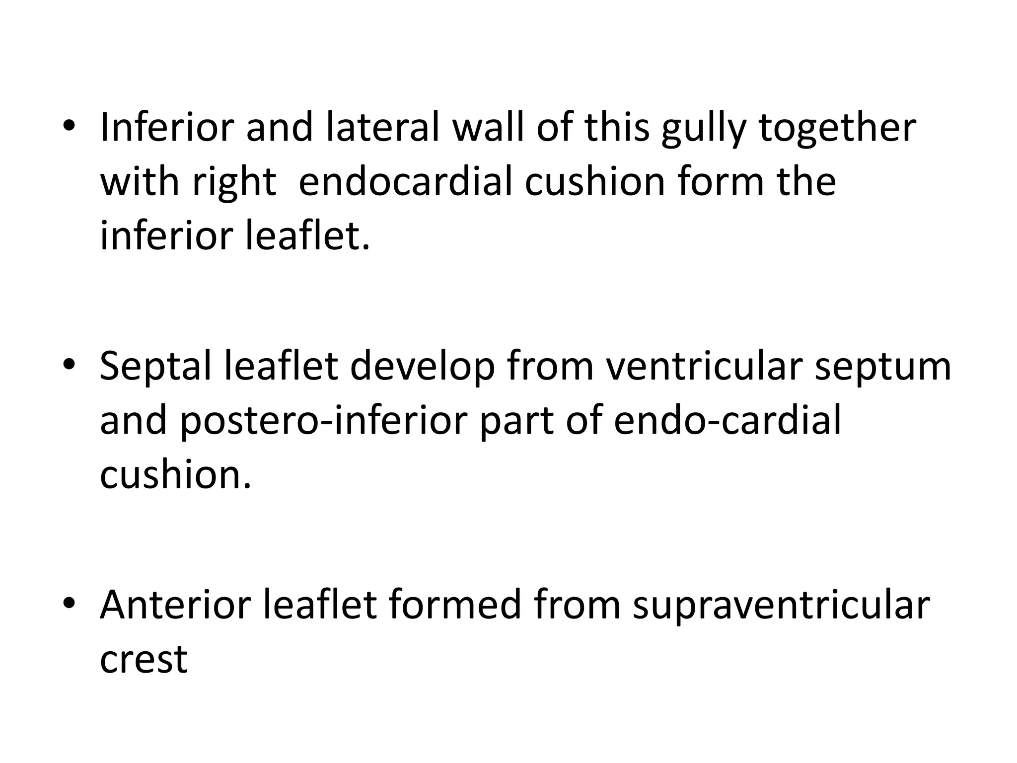 Normal anatomy of tricuspid valve | PPTX