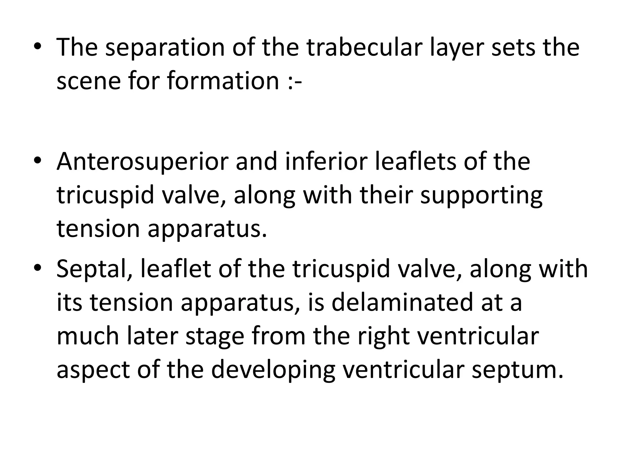 Normal anatomy of tricuspid valve | PPTX