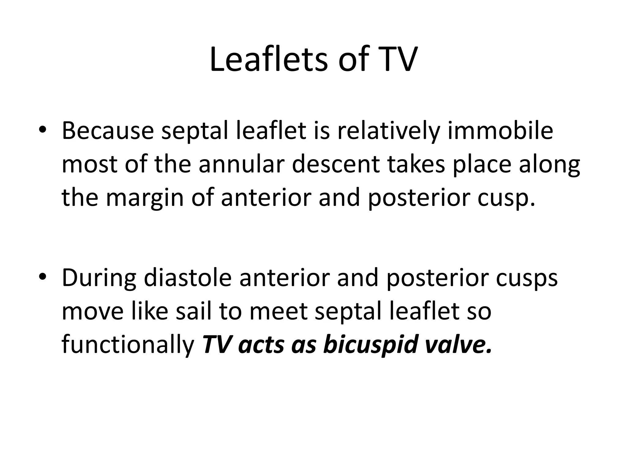 Normal anatomy of tricuspid valve | PPTX