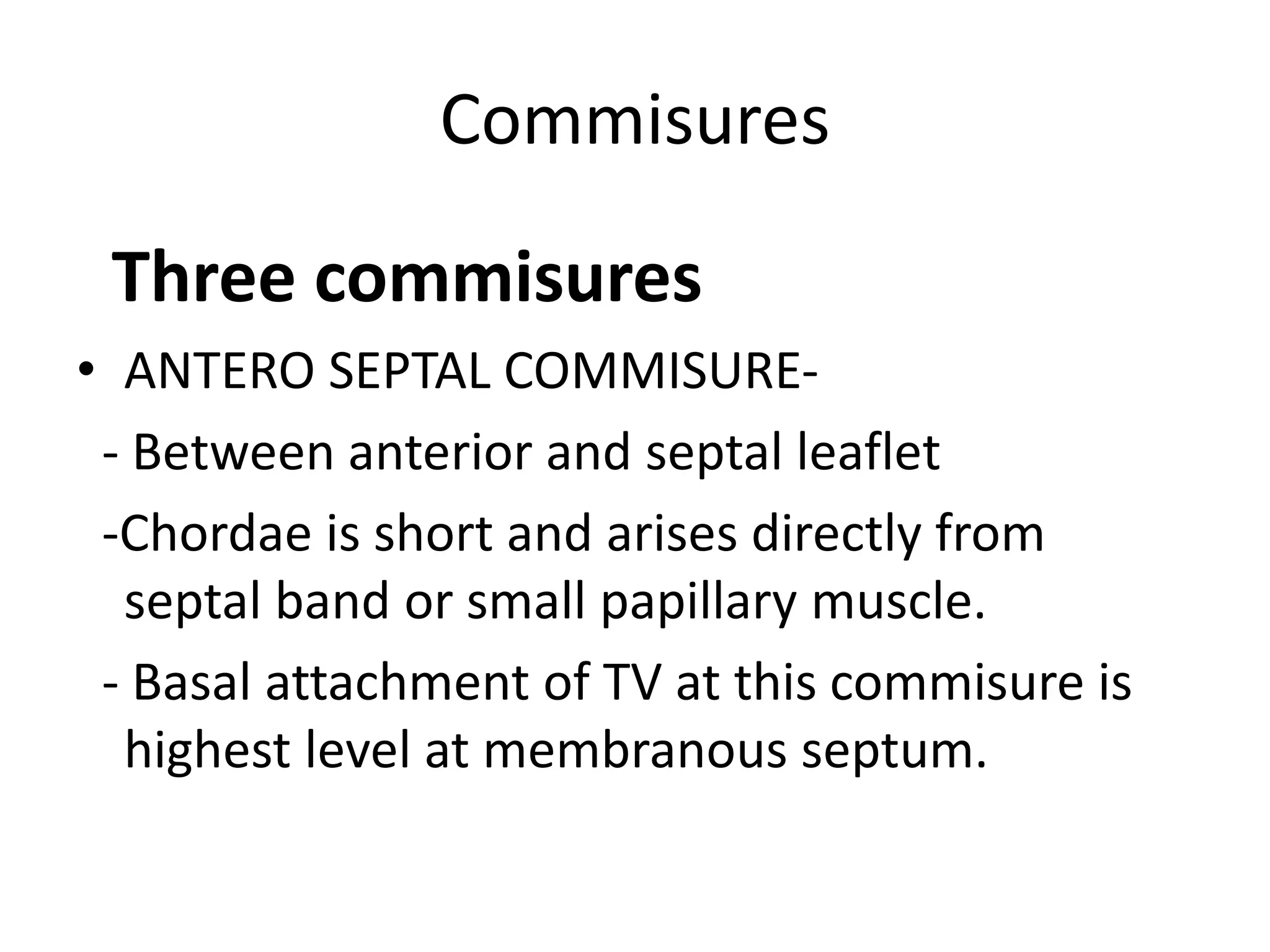 Normal anatomy of tricuspid valve | PPTX