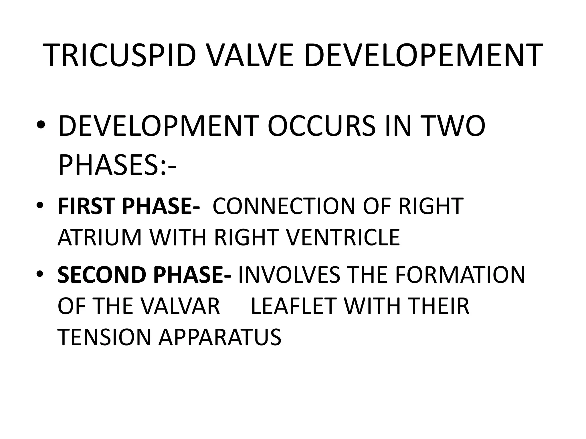 Normal anatomy of tricuspid valve | PPTX