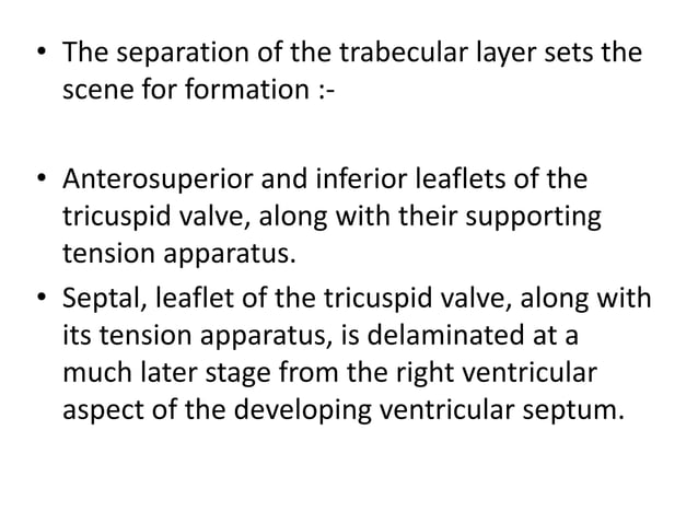 Normal anatomy of tricuspid valve | PPTX
