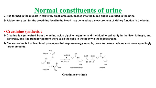 normal and abnormal constituents of urine.docx