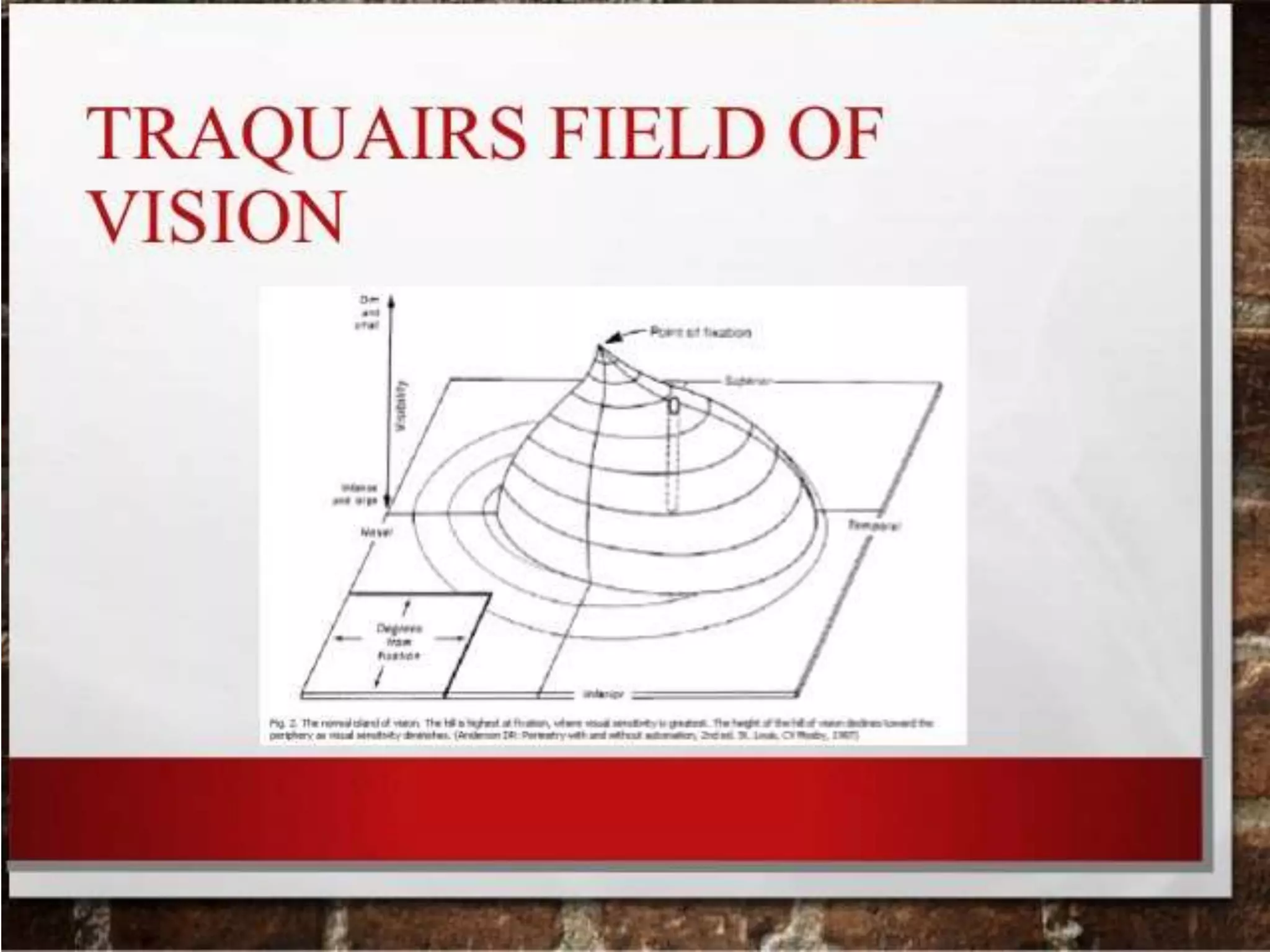 normal and abnormal field (1).pptx | Free Download