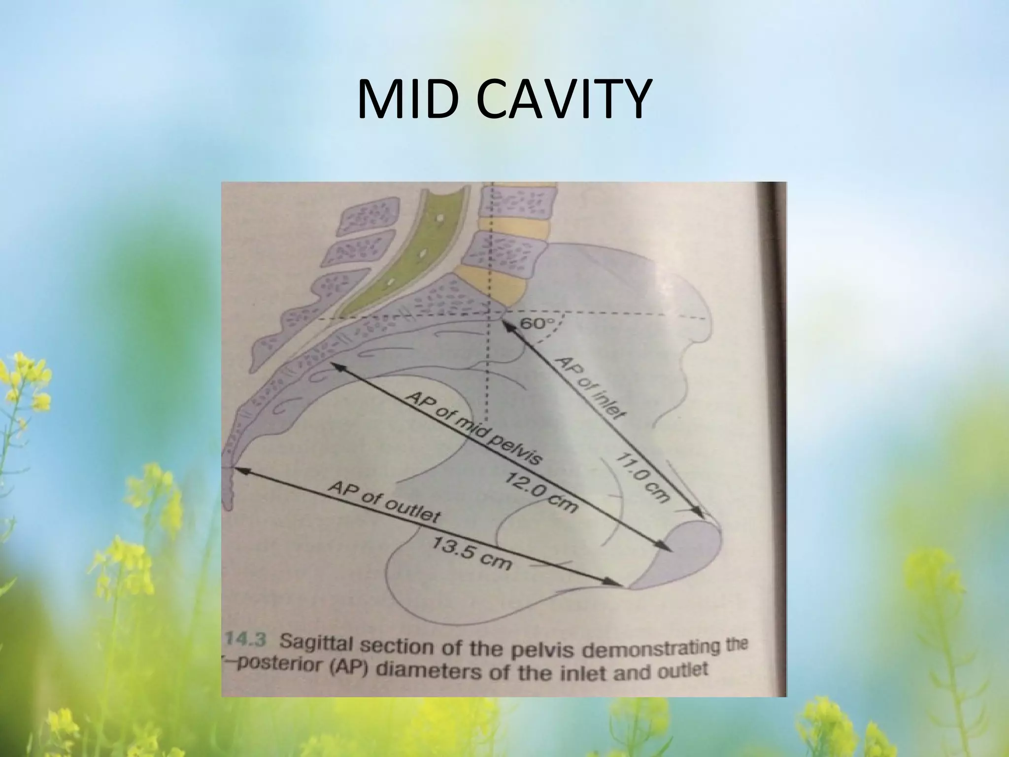 Normal and abnormal labour | PPT