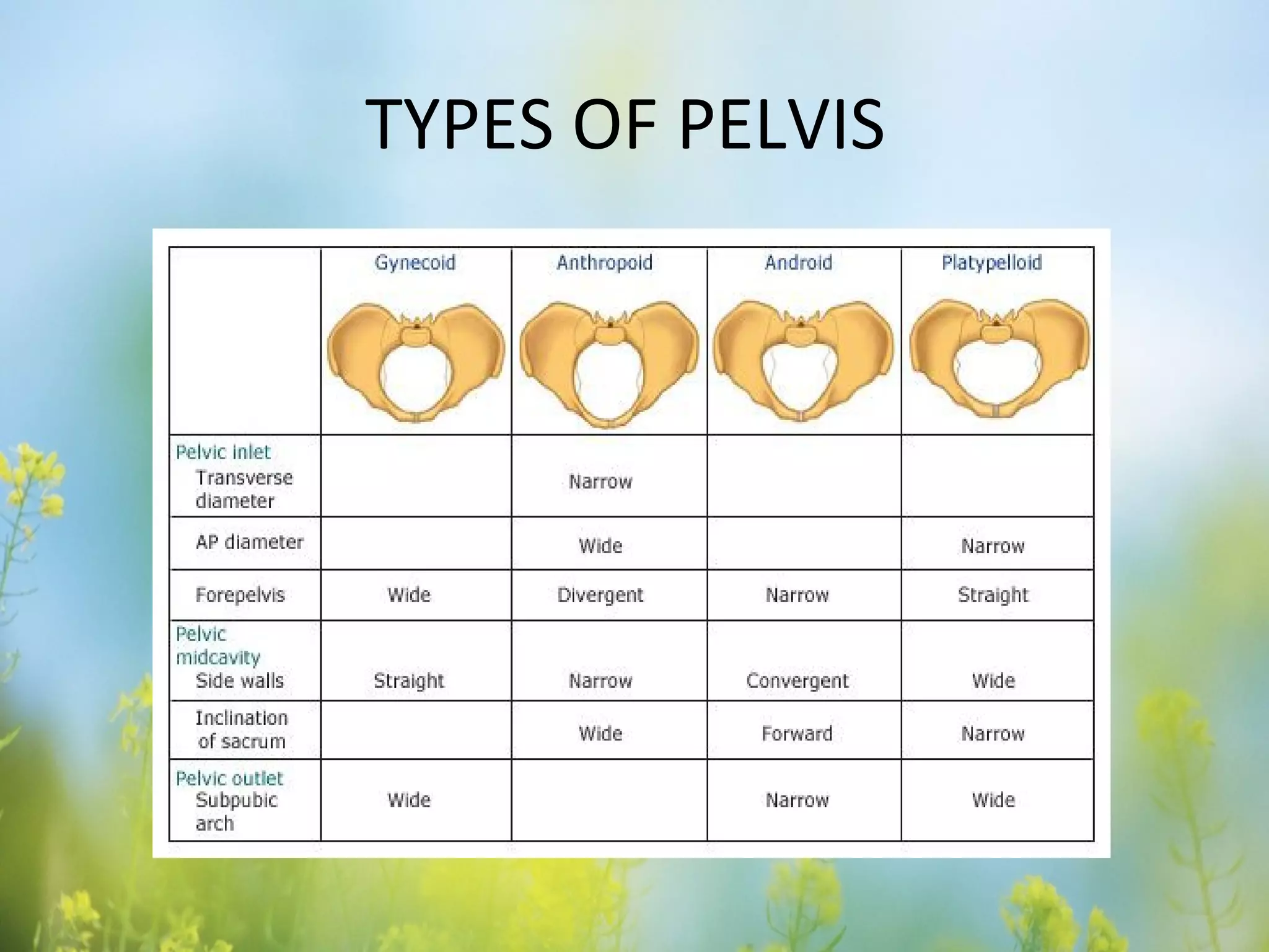 Normal and abnormal labour | PPT