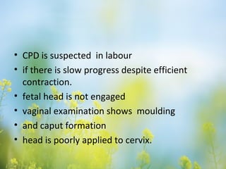 Normal and abnormal labour | PPT