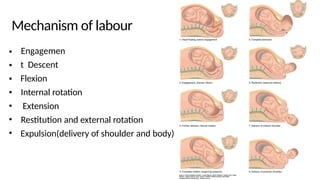 Normal and abnormal labour+ctg.pptx obst | PPTX