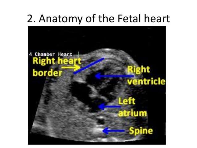 Normal and abnormal of Obstetric , Slidshare ppt.pptx