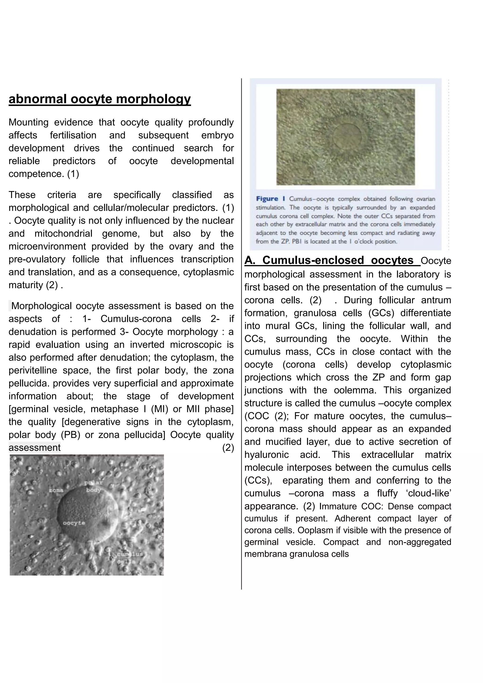 Normal and abnormal oocyte morphology | PDF