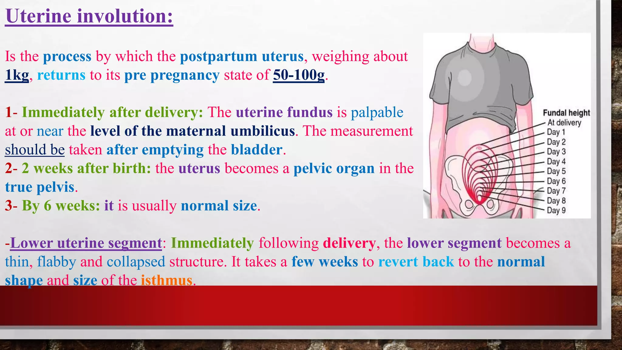 Normal and Abnormal Puerperium & Postnatal Physical Therapy Care | PPT