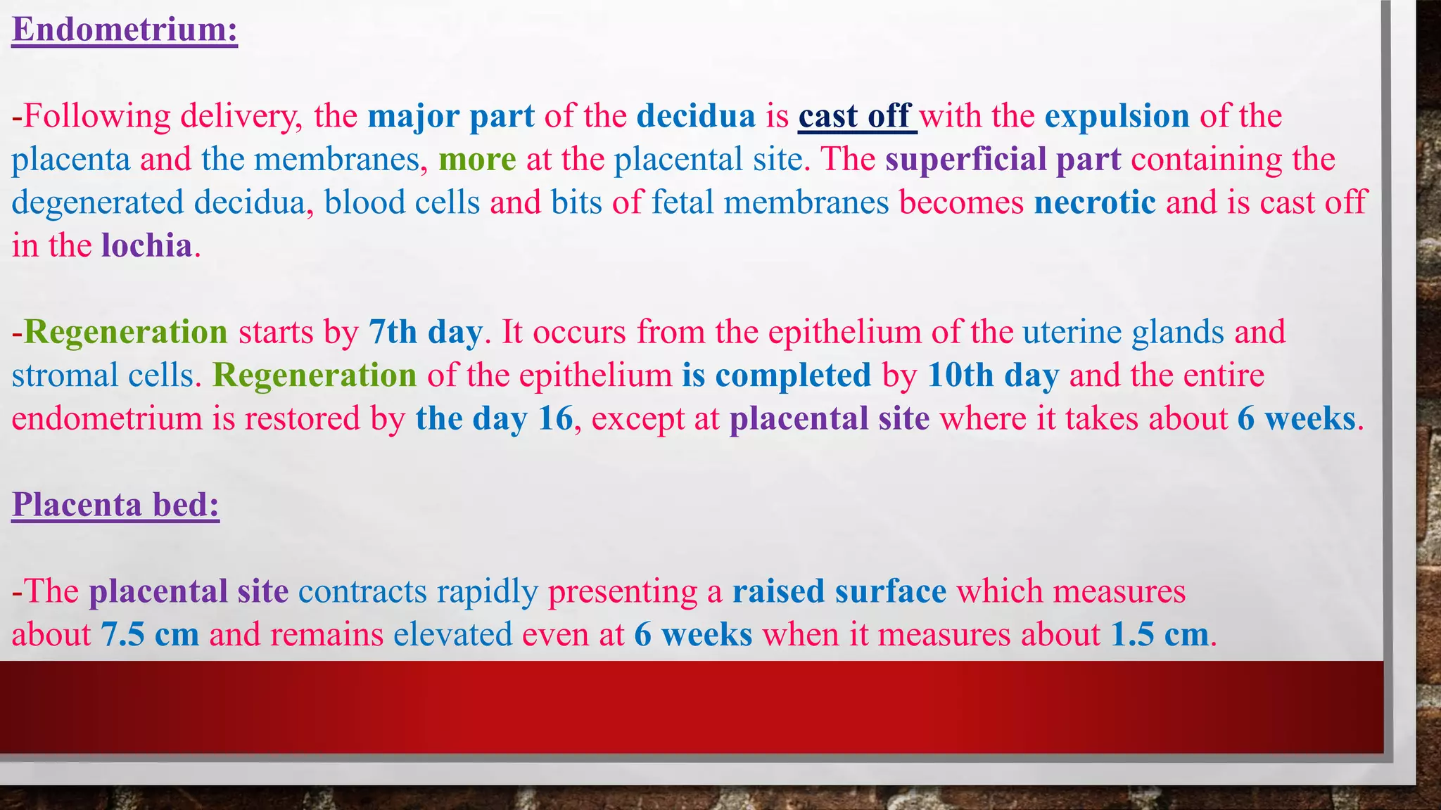 Normal and Abnormal Puerperium & Postnatal Physical Therapy Care | PPT