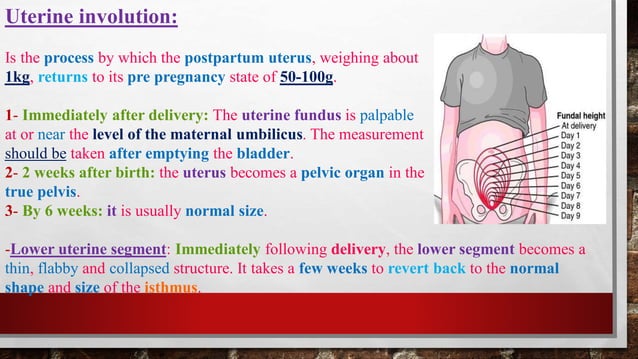 Normal and Abnormal Puerperium & Postnatal Physical Therapy Care | PPT