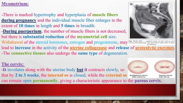 Normal and Abnormal Puerperium & Postnatal Physical Therapy Care | PPT