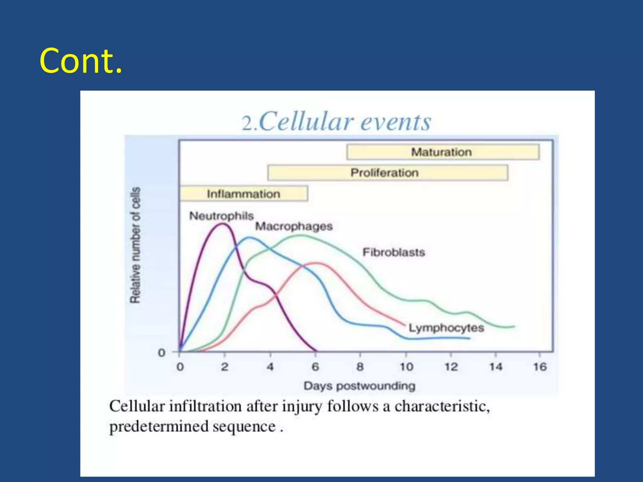 Normal and abnormal wound heaing | PPTX