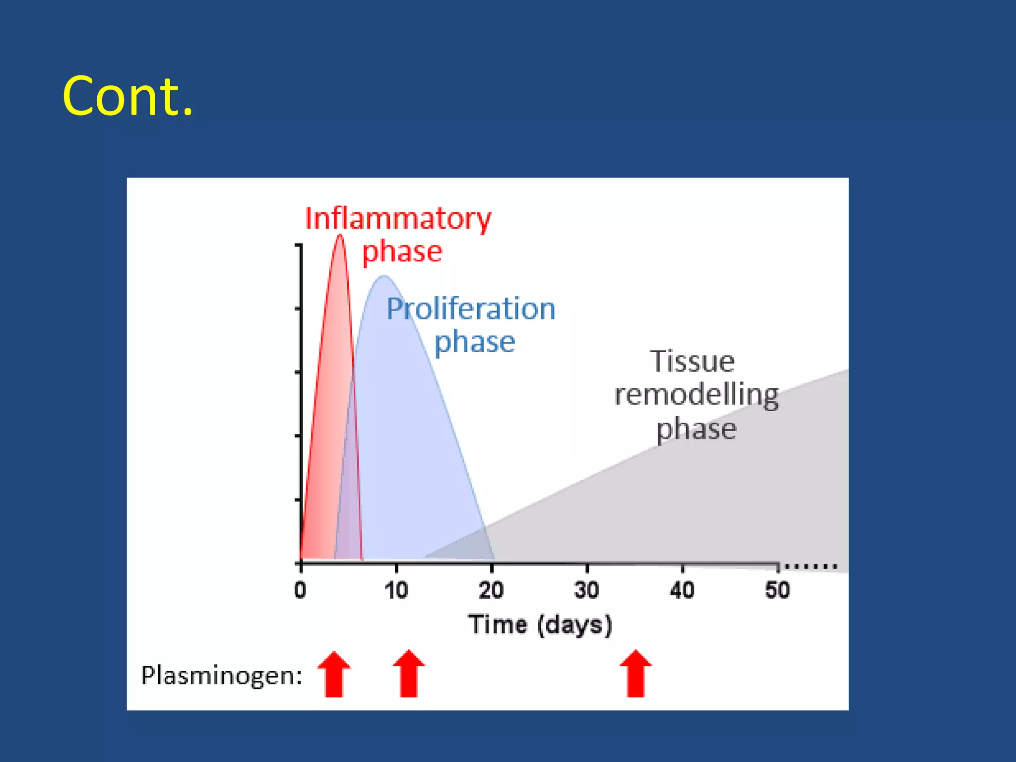 Normal and abnormal wound heaing | PPTX
