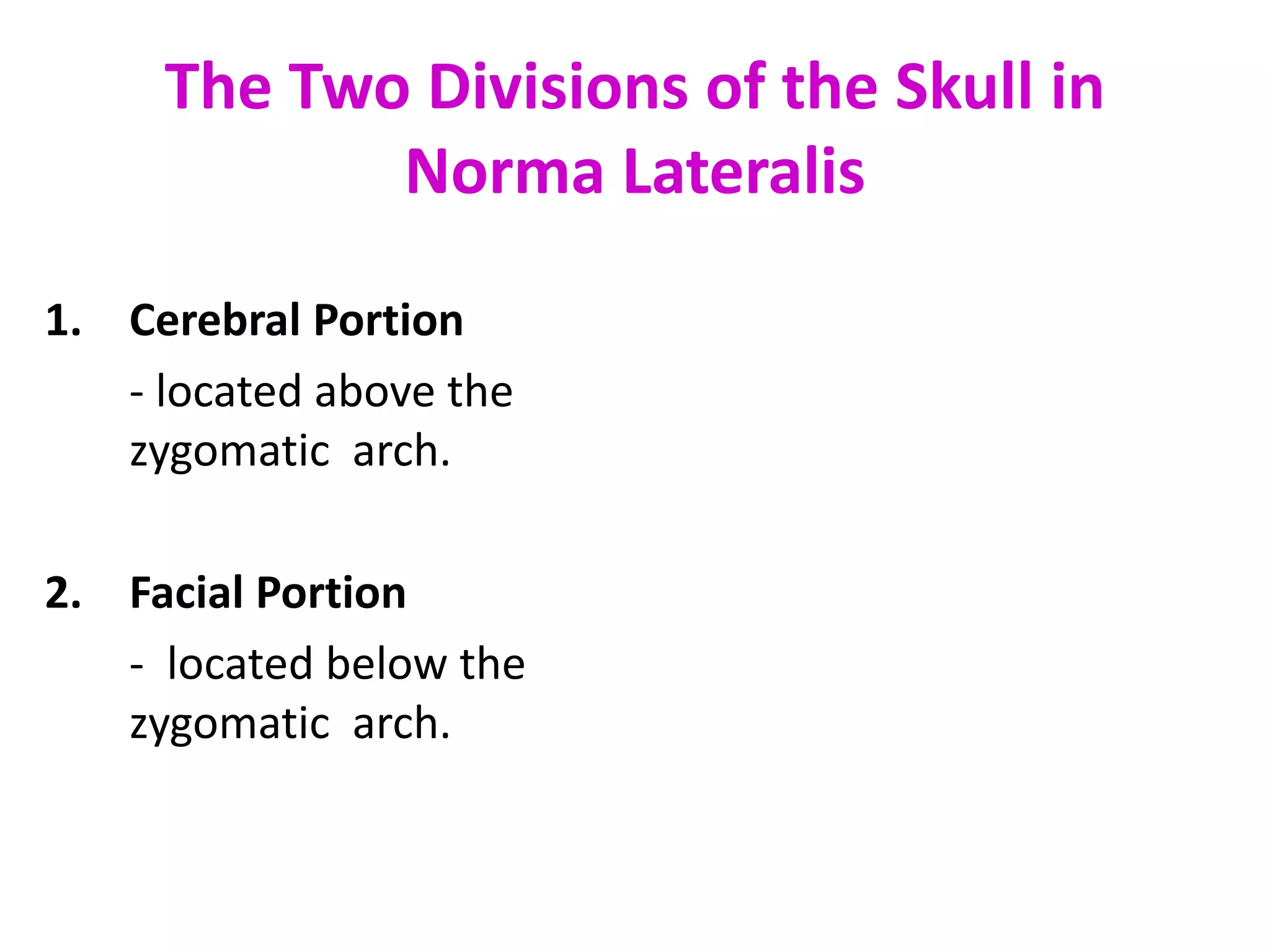 Norma lateralis | PPTX