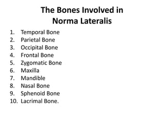 Norma lateralis | PPTX