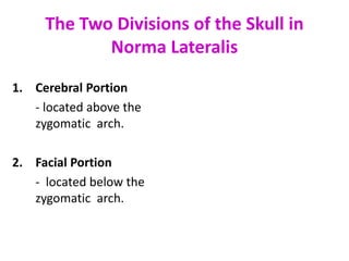 Norma lateralis | PPTX