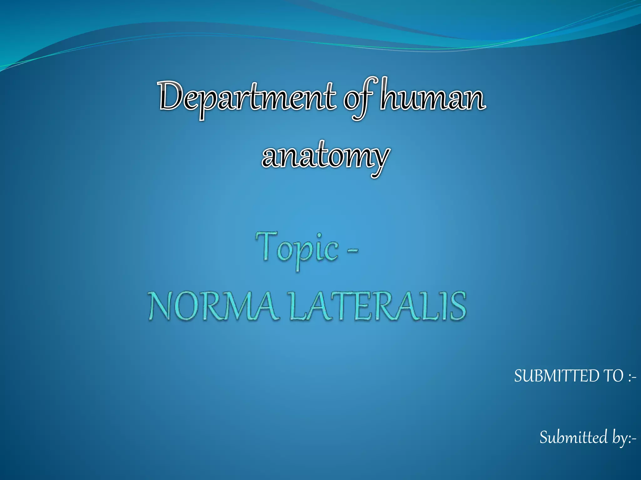 NORMA_LATERALIS.pptx