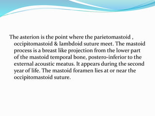 NORMA_LATERALIS.pptx