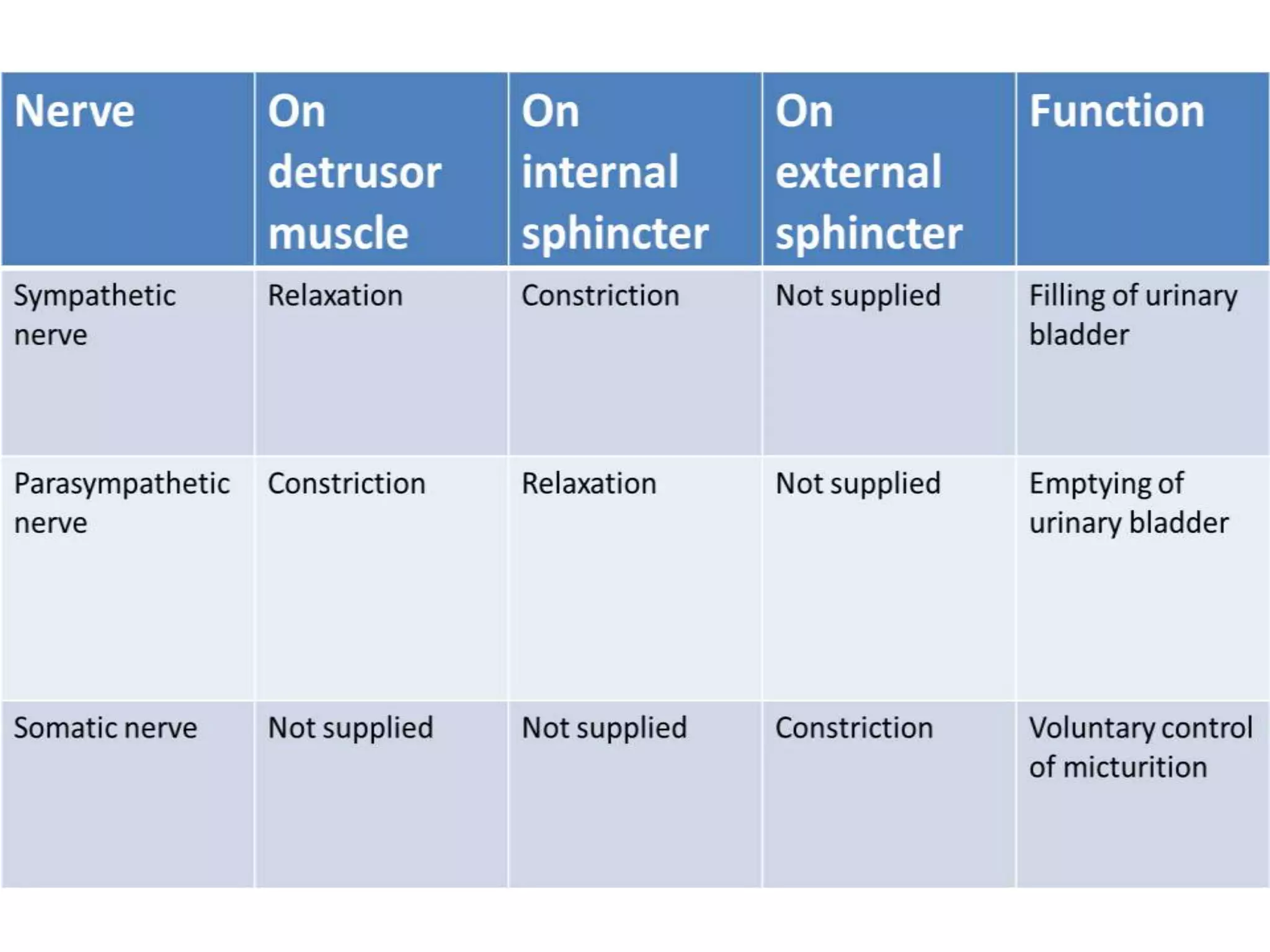 Normal bladder function | PPTX