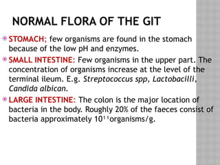 Normal Body Flora MEDICAL MICROBIOLOGY.pptx
